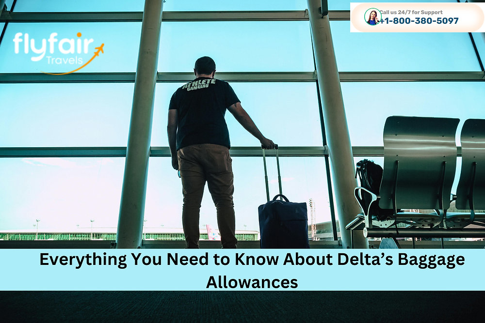 Everything You Need to Know About Delta’s Baggage Allowances
