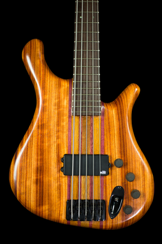 RG 5-String Bass | RG Custom Basses