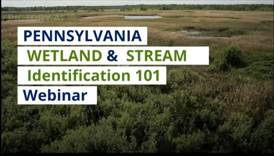 FREE Wetlands & Streams ID Course (1-PDH) | Wetland Boot Camp
