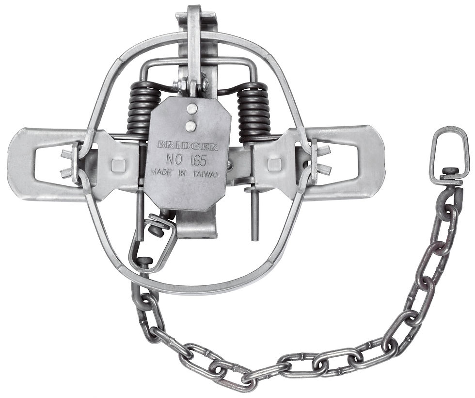 Bridger Coil Spring | funke-trap-tags