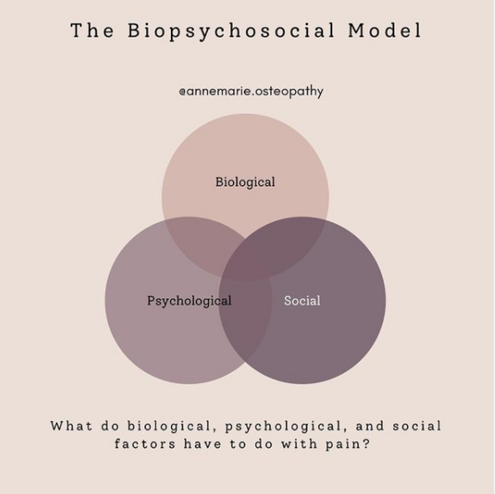 What is the Biopsychosocial Model and what does it have to do with pain?