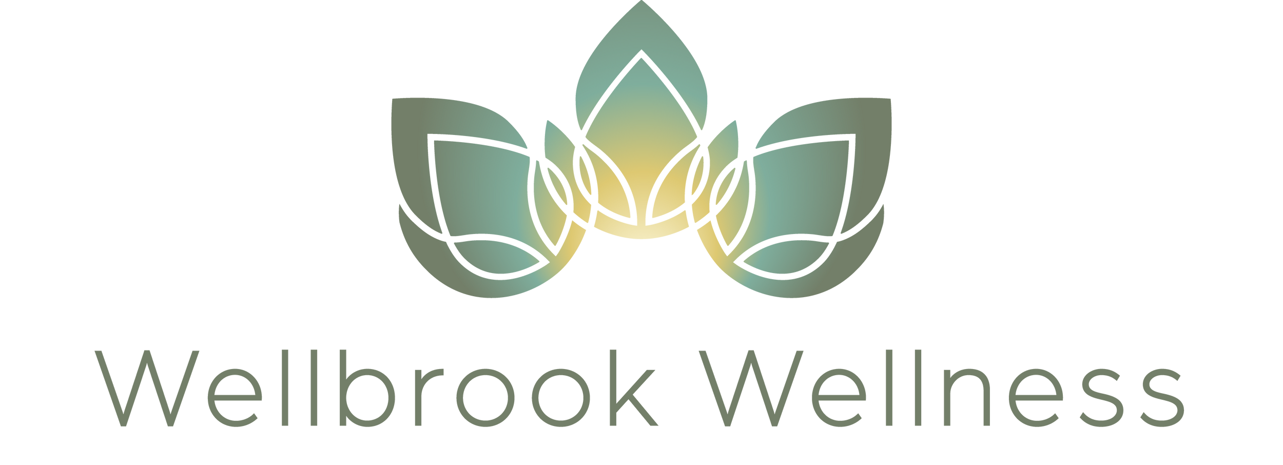 Wellbrook Wellness Therapy Group