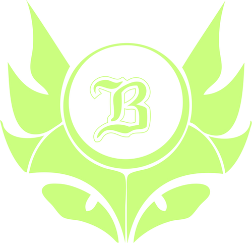 Banshee bikes | becomeunique.pt