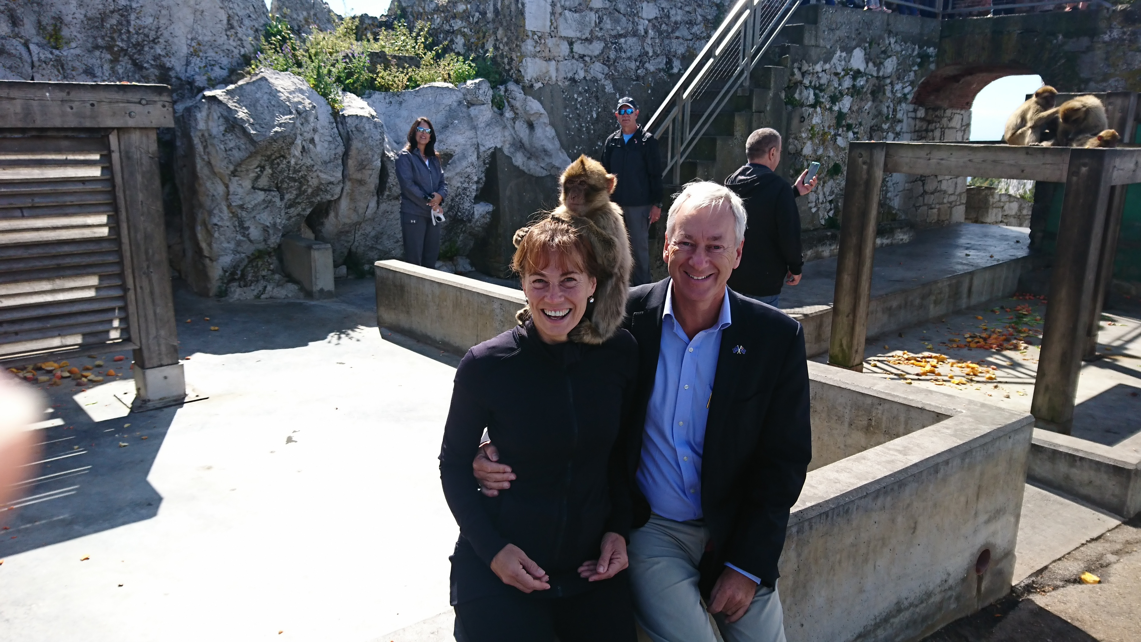 7 Questions with Julie Garland McLellan