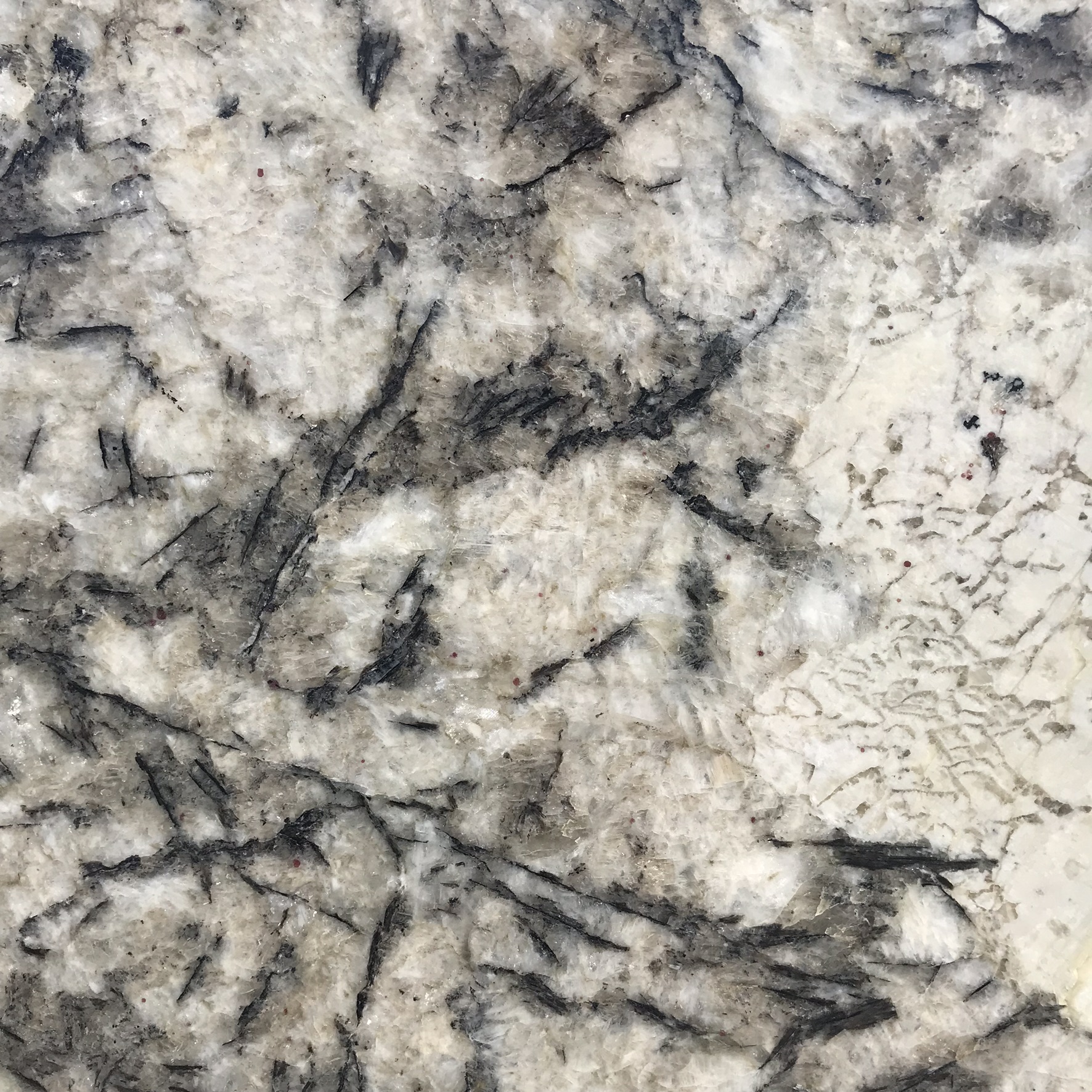 Delicatus Ice | Unique Granite and Marble