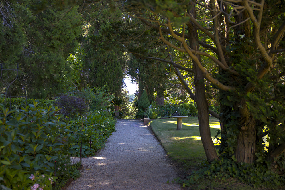 Forest Lodge and Garden