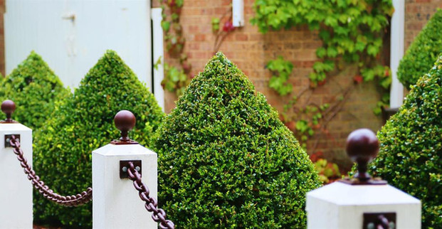 Great Federation Gardens | federation-house