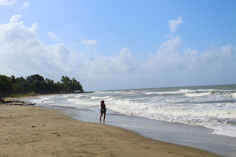 Camaroncito EcoResort & Beach | All-Inclusive Eco Lodge in Panama