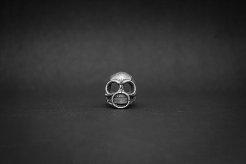 Maggots XVII -sidthe3rd | rotten-bones