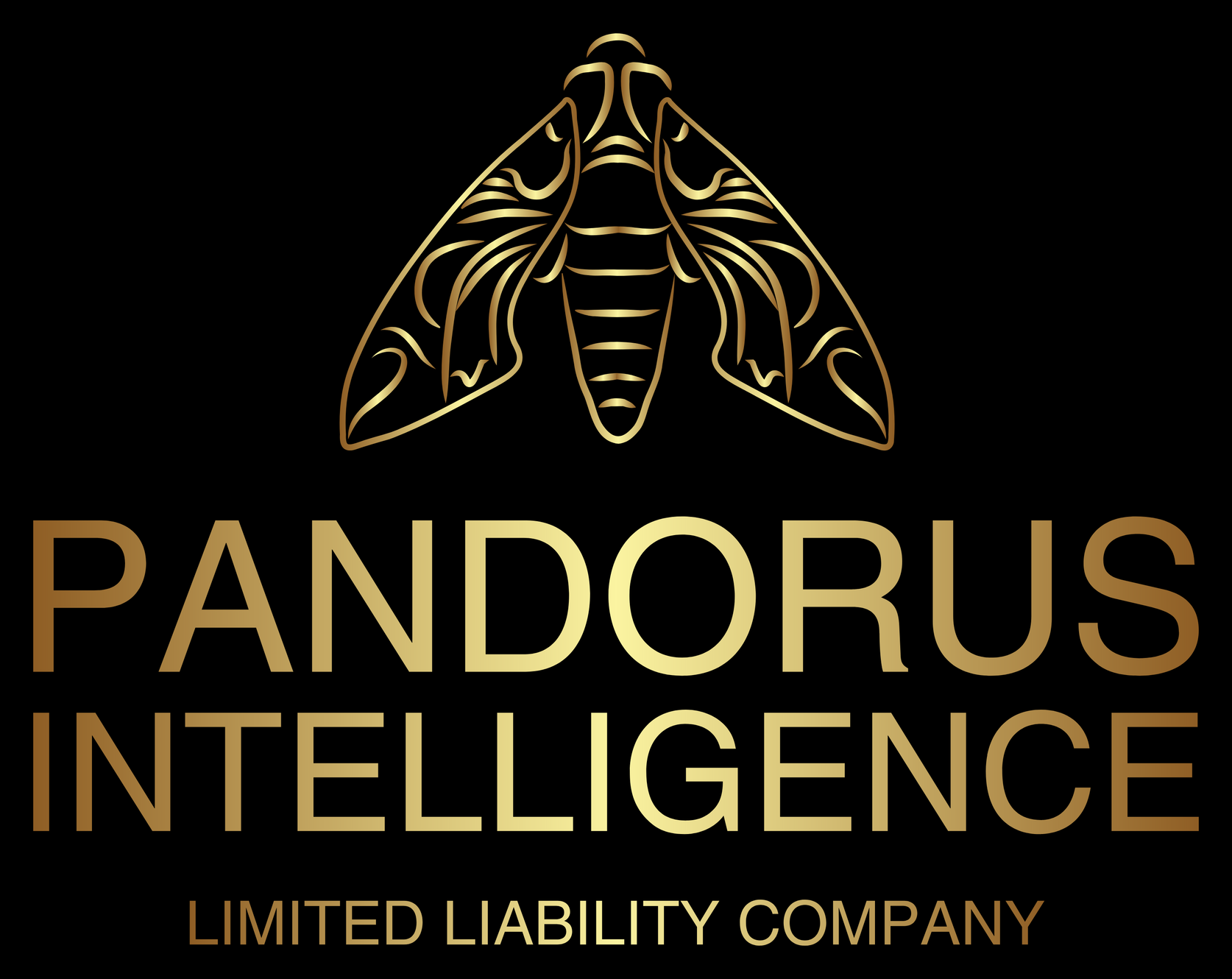 Leadership | PandorusIntelLLC