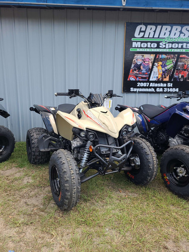 Kymco 270 cc Mongoose | Cribbs Customs Moto