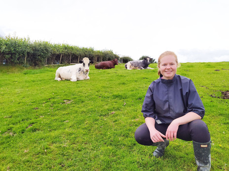 Home | Avon Farm Vets