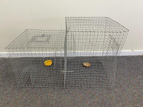 Indian Myna Trap | Mace