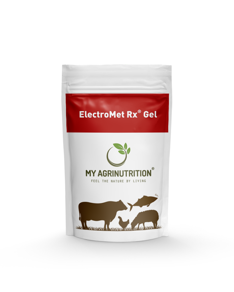 ELECTROMET Rx Gel | Myagrinutrition