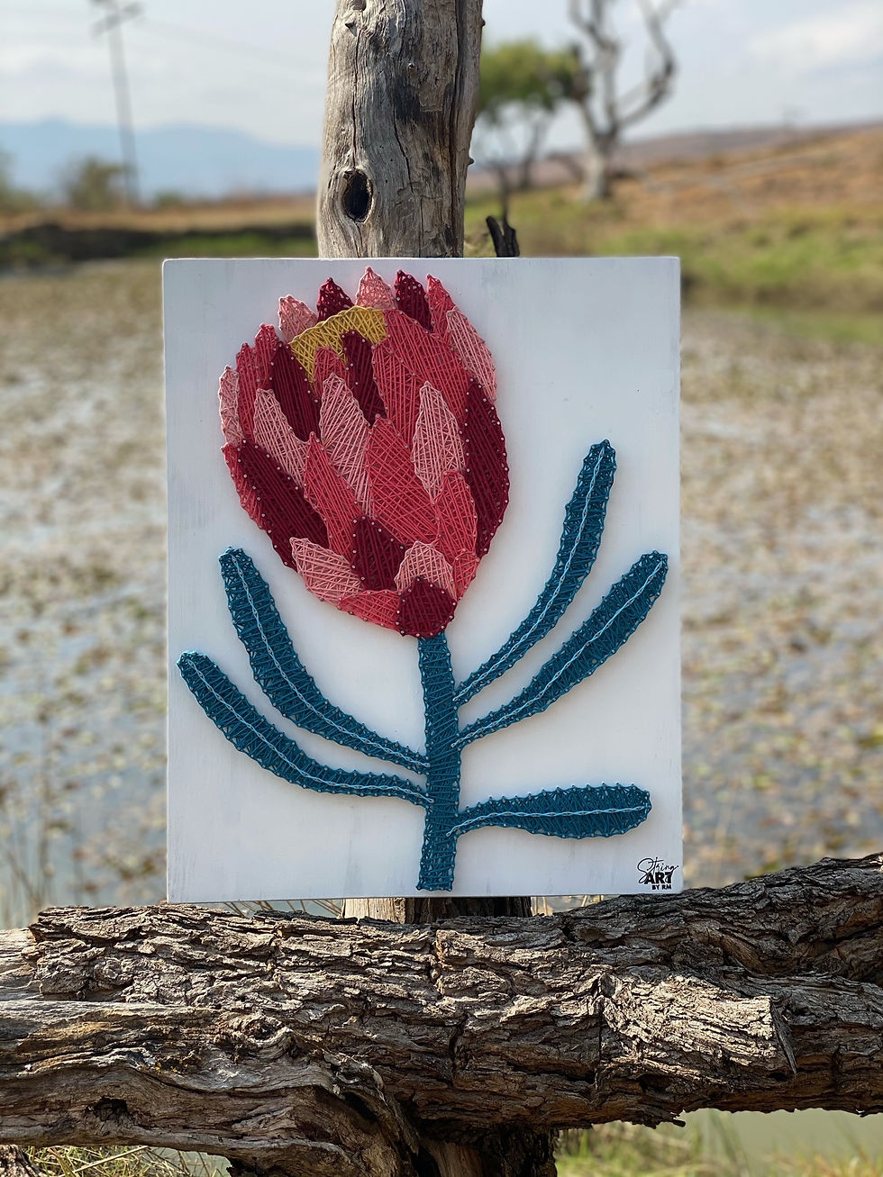 Protea flower string art | String Art by RM