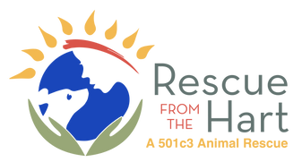 Rescue From The Hart | Los Angeles Dog Rescue