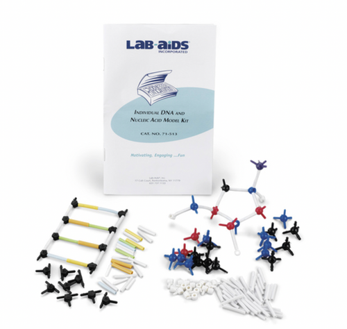 Individual DNA & Molecular Model Kit | Carolina Singapore