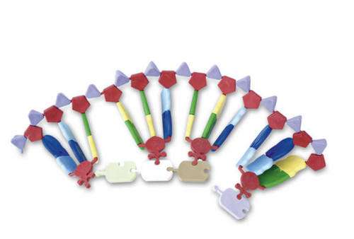 RNA/Protein Synthesis Kit | Carolina Singapore