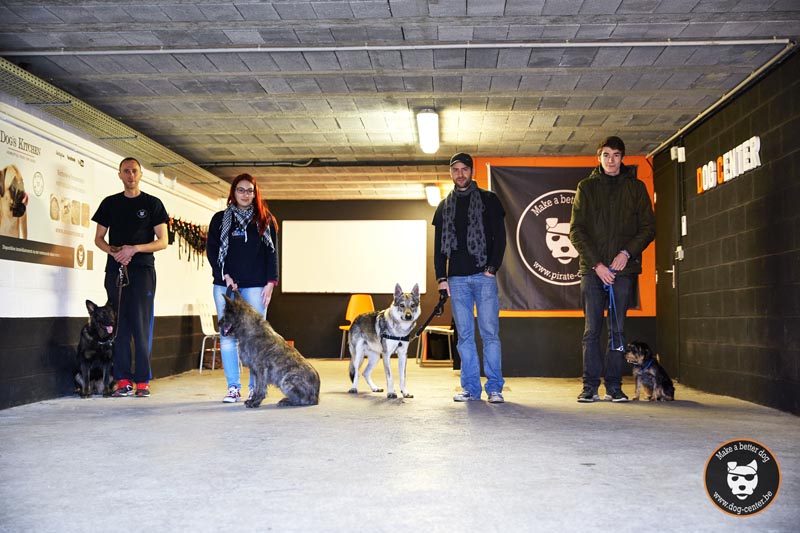 Dog Center | éducation Canine | Wallonie