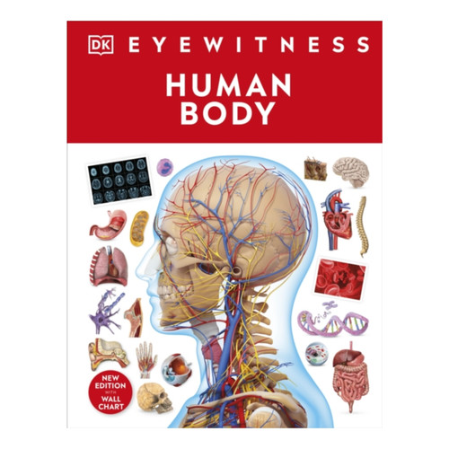 Human Body | Moon Lane Ink