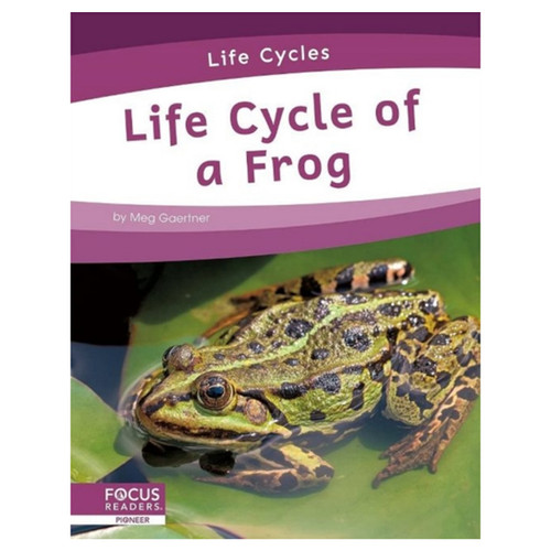 Life Cycles: Life Cycle of a Frog | Moon Lane Ink