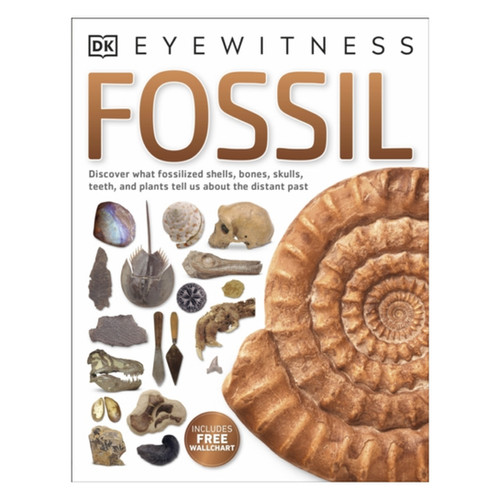 Fossil | Moon Lane Ink