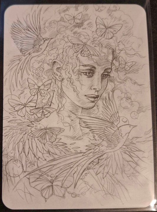 Curio Cards | Collector Arthouse