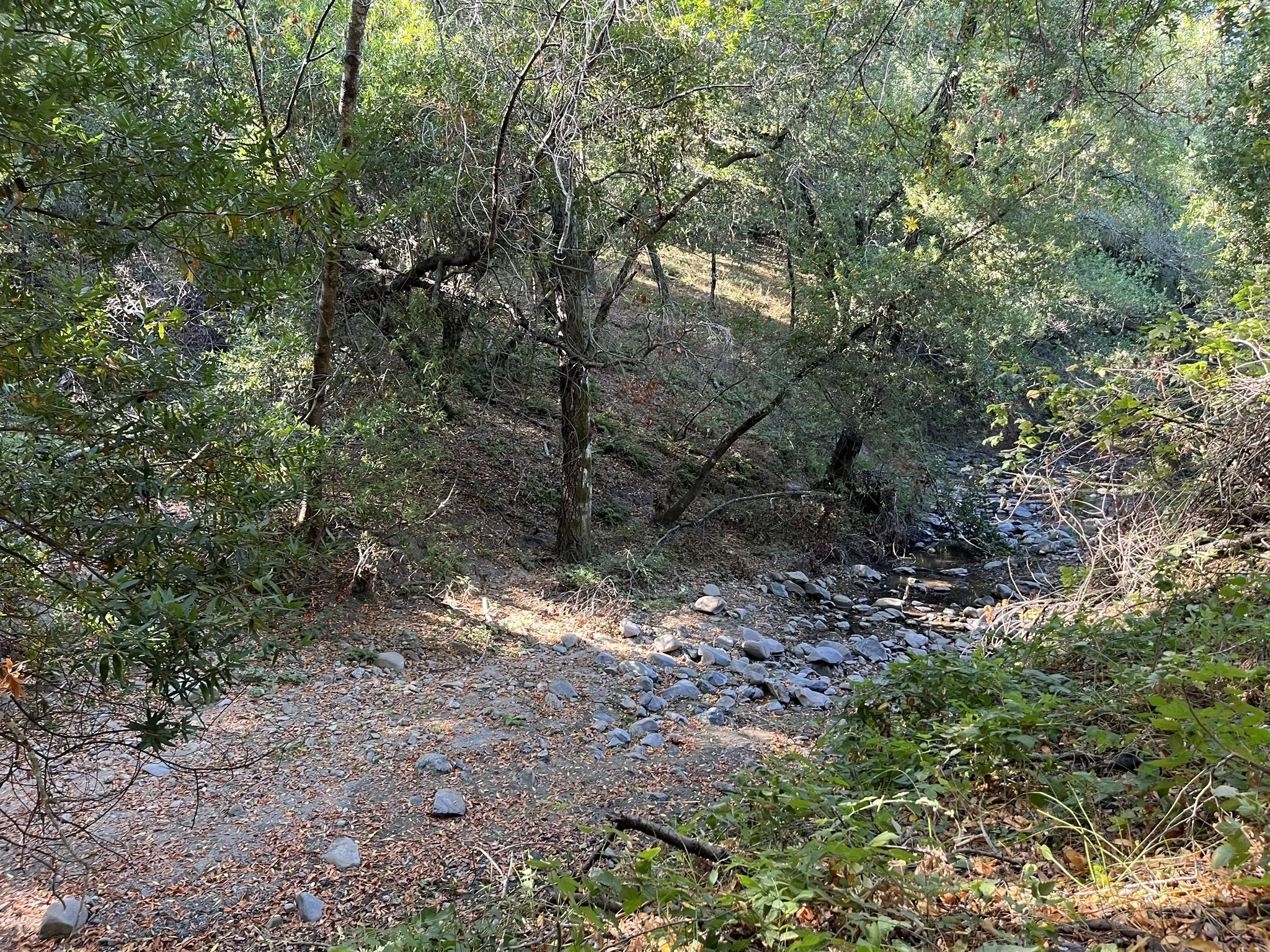 Trails | Sequoians | Nude Membership Club | 10200 Cull Canyon Road ...