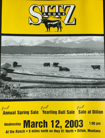 About | Sitz Angus | The Finest Bulls in the Industry