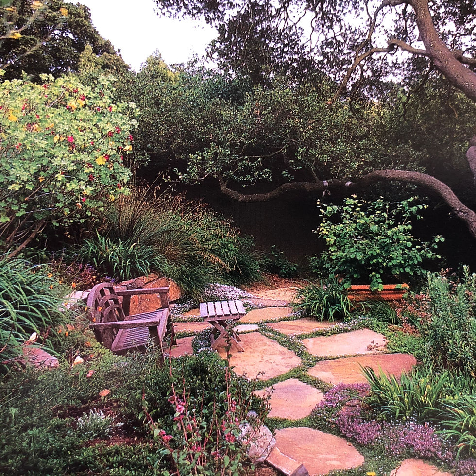 Designing Outdoor Social Spaces - Gathering in the Garden is a Trend ...