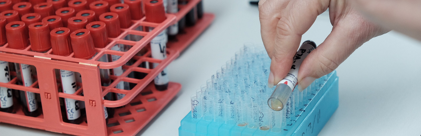 PVS Labs | laboratory services | unit 12/180 Montgomerie Road, Māngere ...