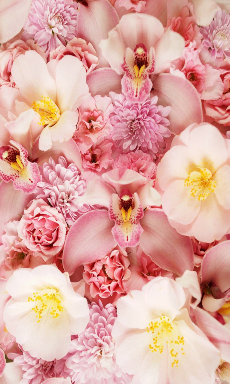 Glady´s Flowers