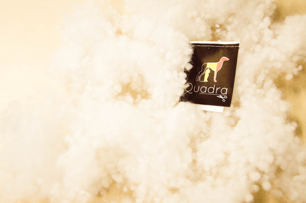 Accueil Tournai Belgique Quadra Belgium