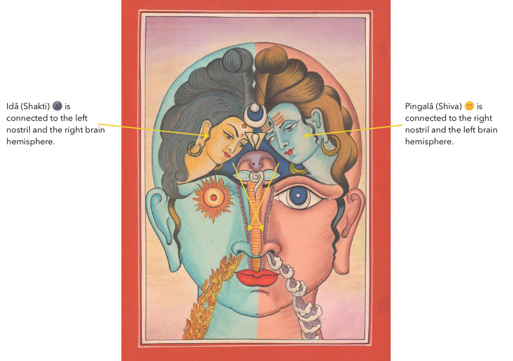 Idâ, Pingalâ & Sushumnâ