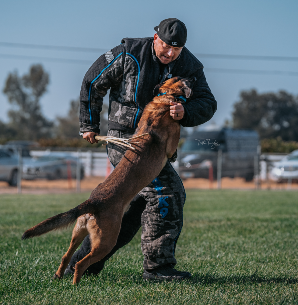 Which Bite Suit Is Right For Me?