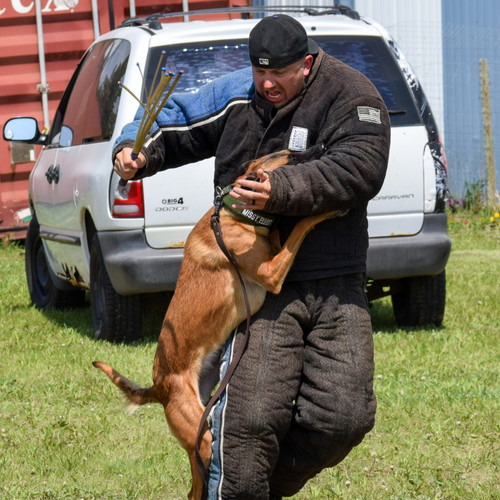 Semi Competition Bite Suit | Kirby K9