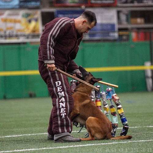 Training Bite Suit | Kirby K9