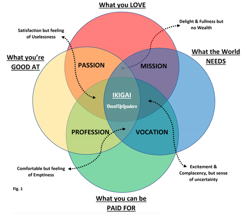 Free Ikigai Assessment | DevelUpLeaders