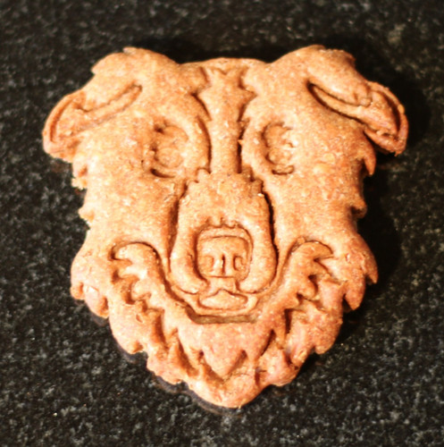 Dog Breed Biscuits - Border Collie | Bramble's Bakes