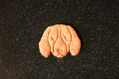 Dog Breed Biscuits - Beagle | Bramble's Bakes