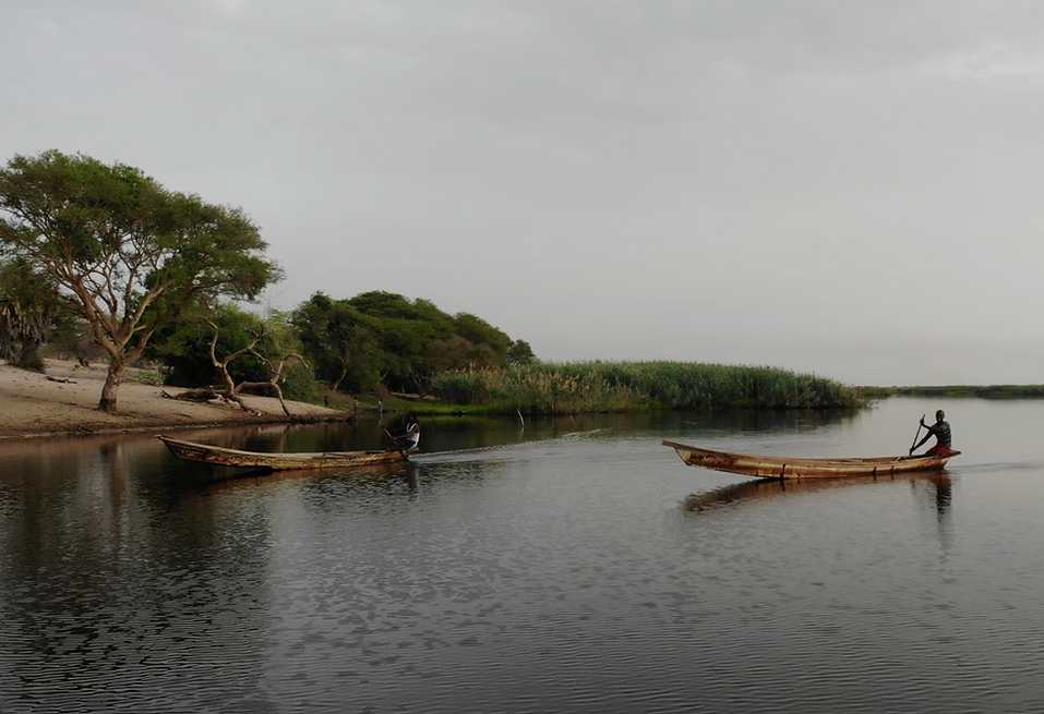 Follow the Waters | Guardians Worldwide