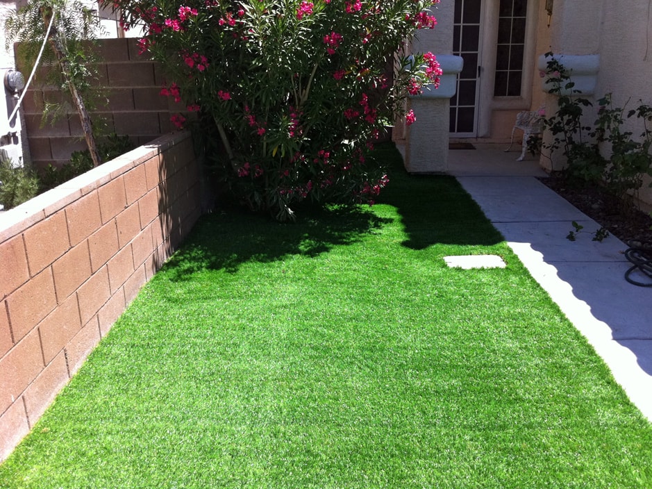 6 Reasons Why Fake Grass is Becoming Popular - Buy, Install and ...