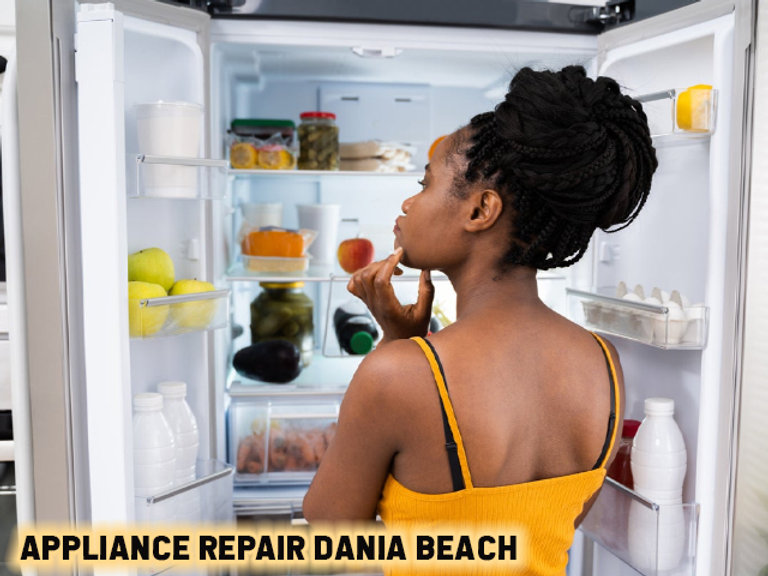 Common Refrigerator Problems Common Refrigerator Problems