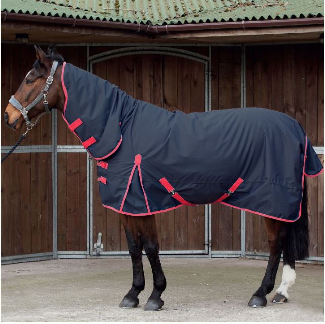 Equestrian | Equine Express