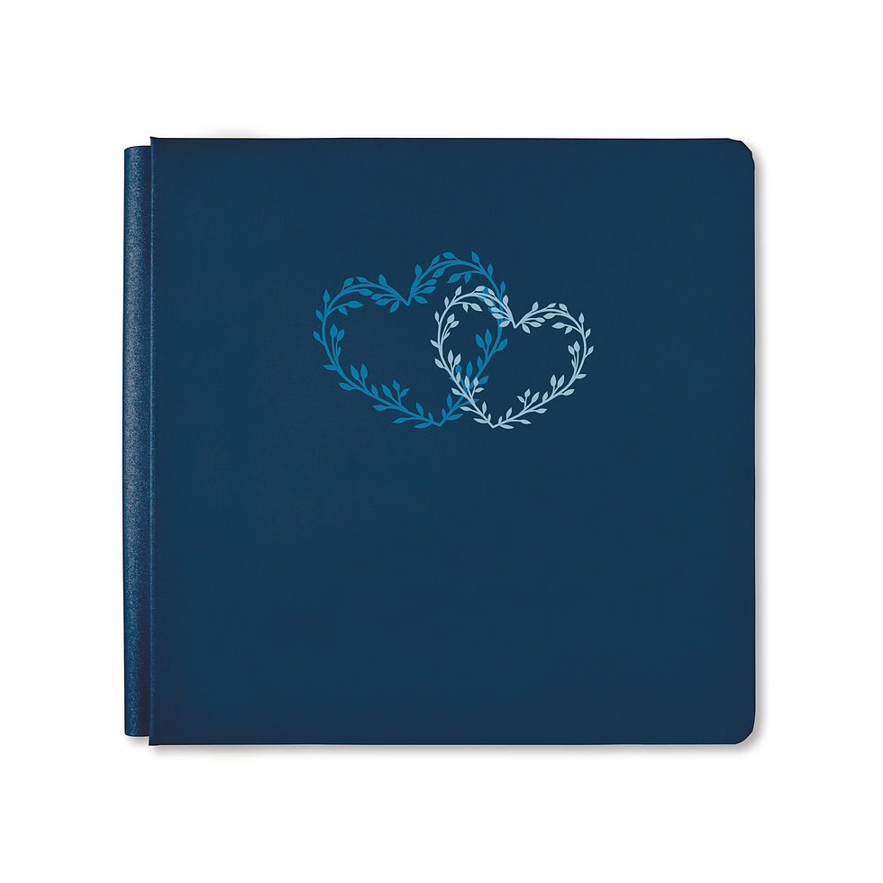 12x12 Navy Something Blue Album Cover | website