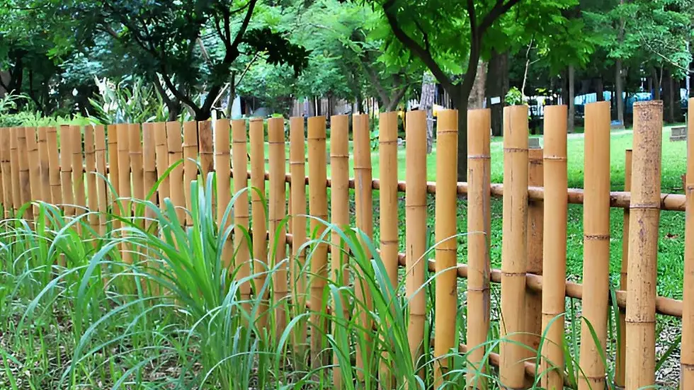 10 Best Fencing for Agricultural Land in India: How To Choose?