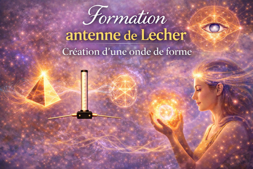 Création d'une onde de forme - Atelier thématique Antenne de Lecher ...
