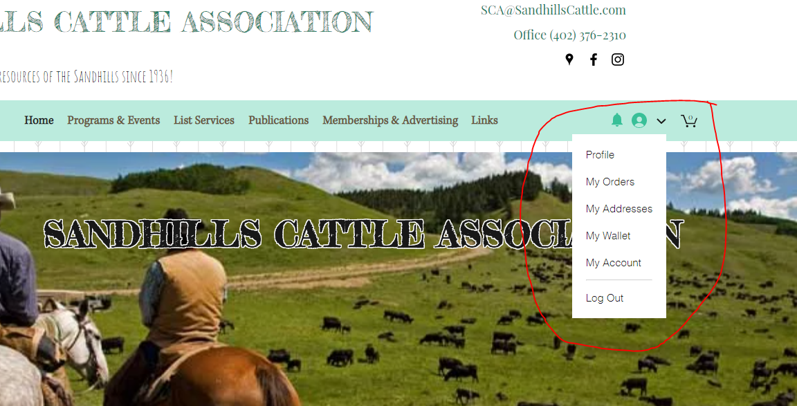 How to view the SCA List Services