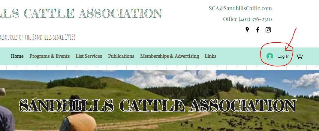 How to view the SCA List Services