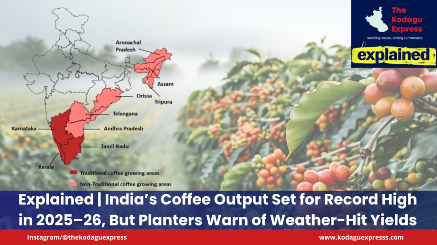 Explained | India’s Coffee Output Set for Record High in 2025–26, But ...